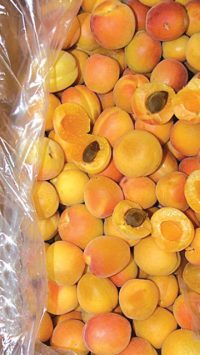 Apricot Fresh Product Packaging – Wellcome to Aypek Automotive Plastic ...