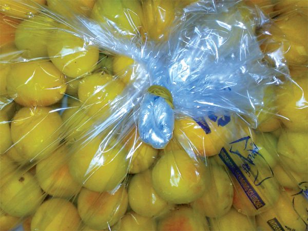 Apricot Fresh Product Packaging – Wellcome to Aypek Automotive Plastic ...