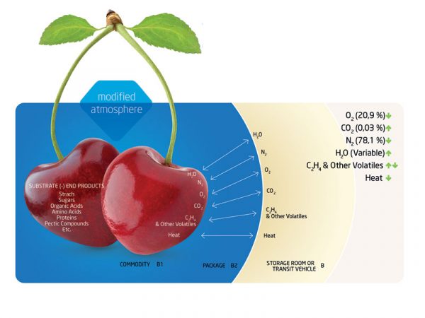 Modified Atmosphere Packaging – Wellcome to Aypek Automotive Plastic ...