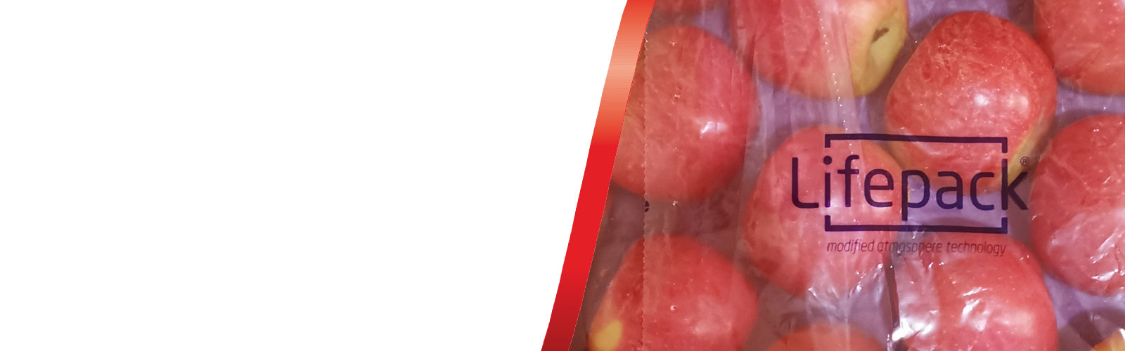 Wellcome to Aypek Automotive Plastic Industry – Fresh Products and ...